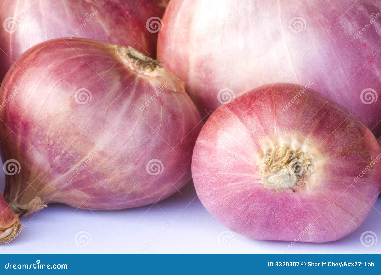 Fresh Red Onions stock image. Image of fresh, onions, grocery - 3320307