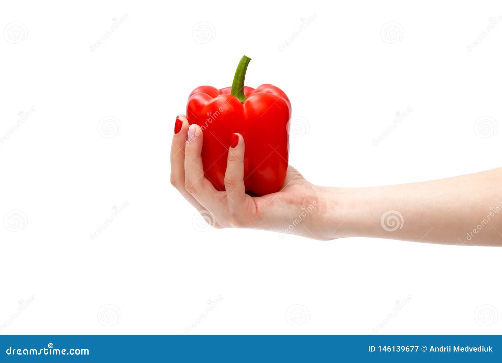 Fresh Red Pepper. Hand Holding Red Pepper Isolated on White Stock Image ...