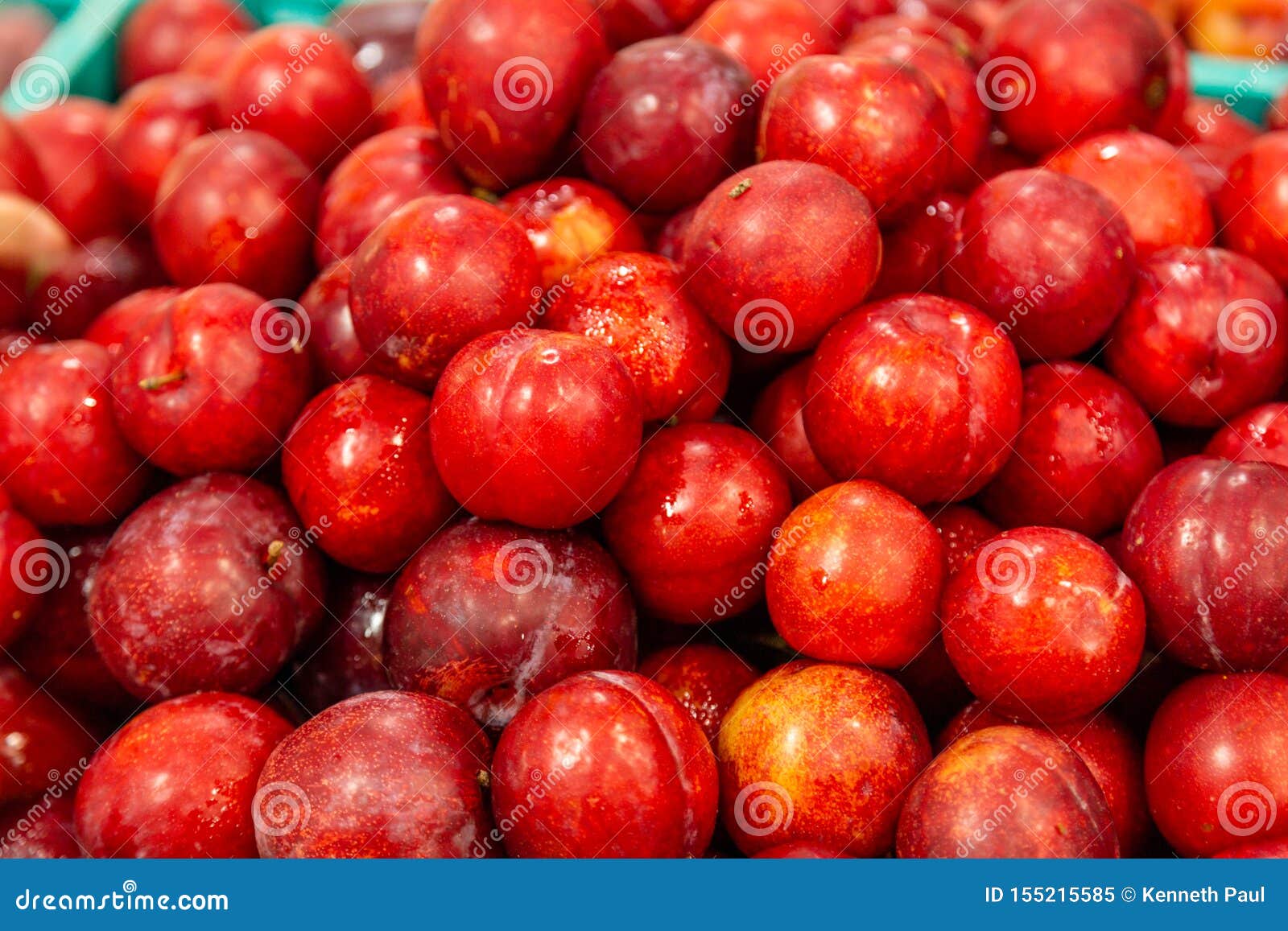 Fresh red plums stock image. Image of plum, healthy - 155215585