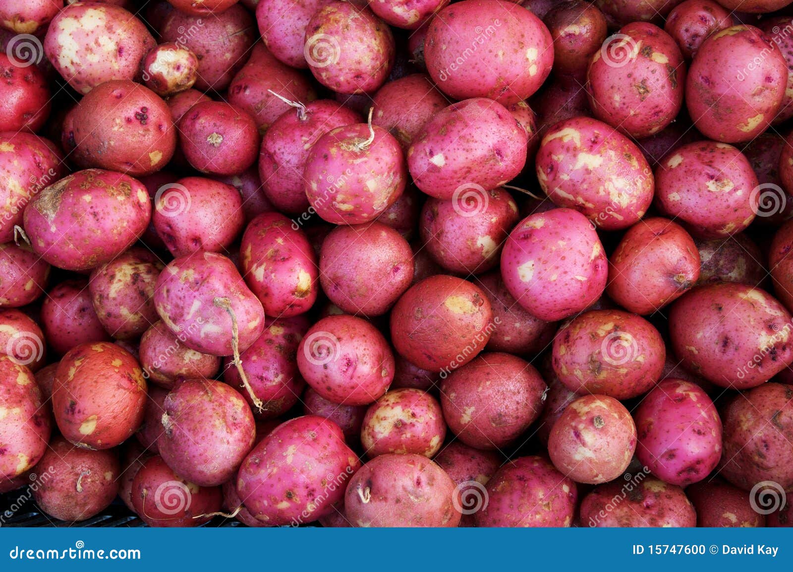 Red Potoatoes Stock Photos - Free & Royalty-Free Stock Photos from ...