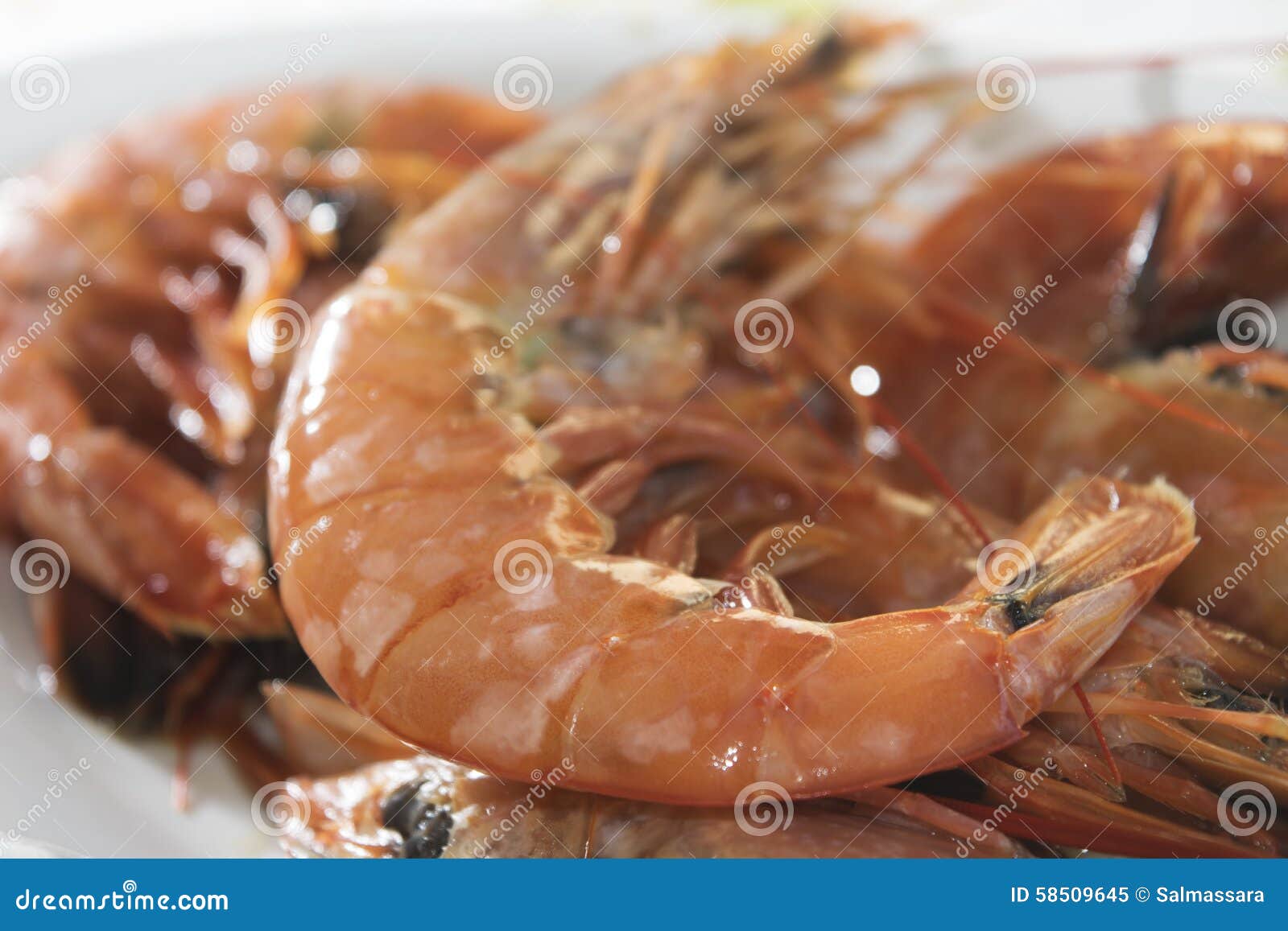Fresh red prawns stock image. Image of plate, crustacean - 58509645