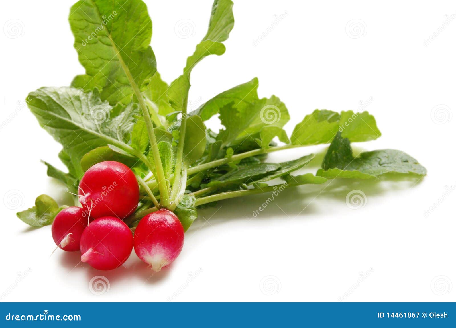 Fresh red radish stock image. Image of vegan, green, food - 14461867