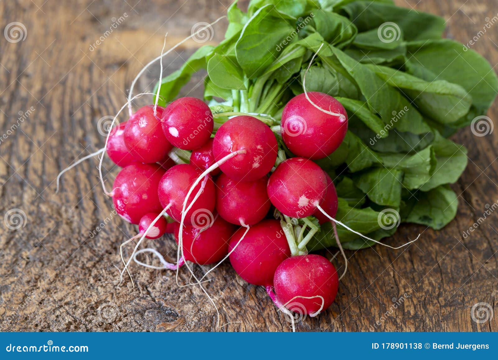 Fresh red radish stock photo. Image of group, leaf, food - 178901138