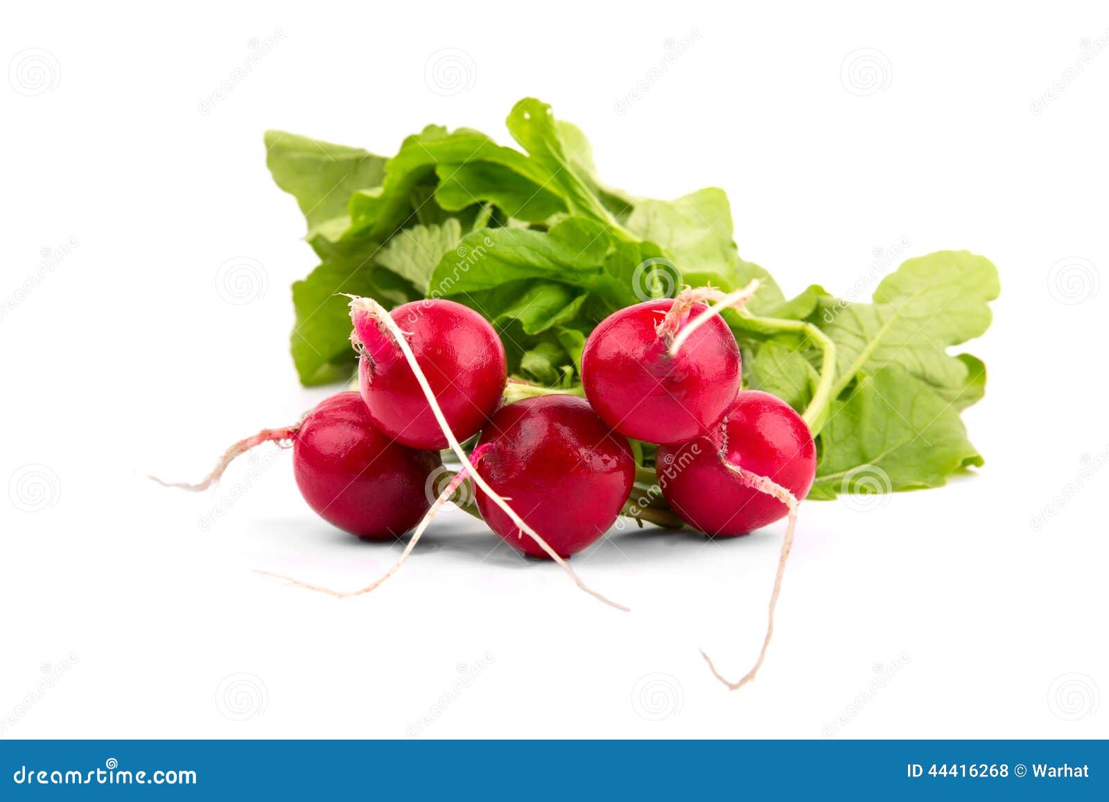 Fresh Red Radish Isolated on White Background Stock Photo - Image of ...