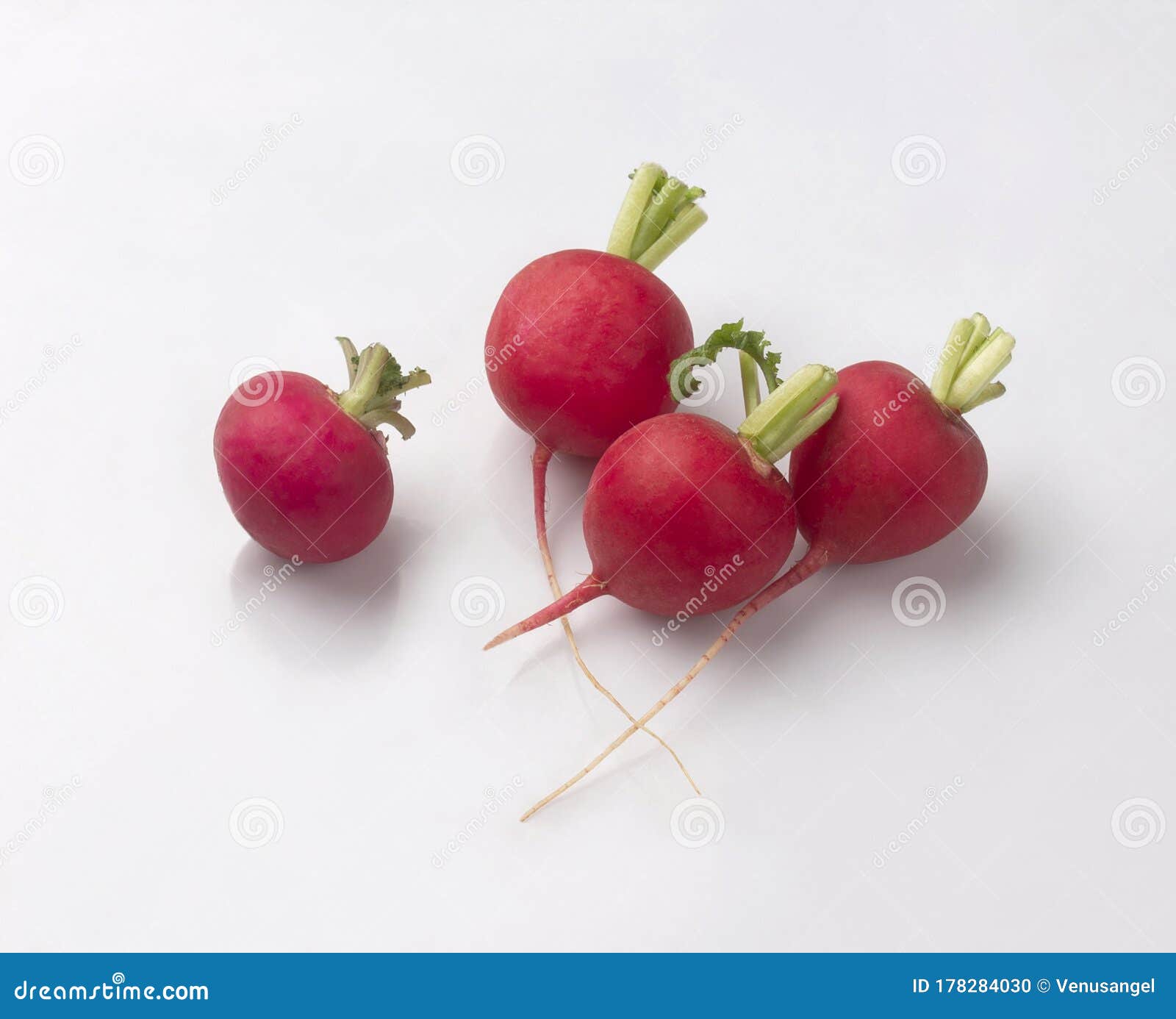 Fresh Red Radish with Leaves Isolated on White Stock Photo - Image of ...