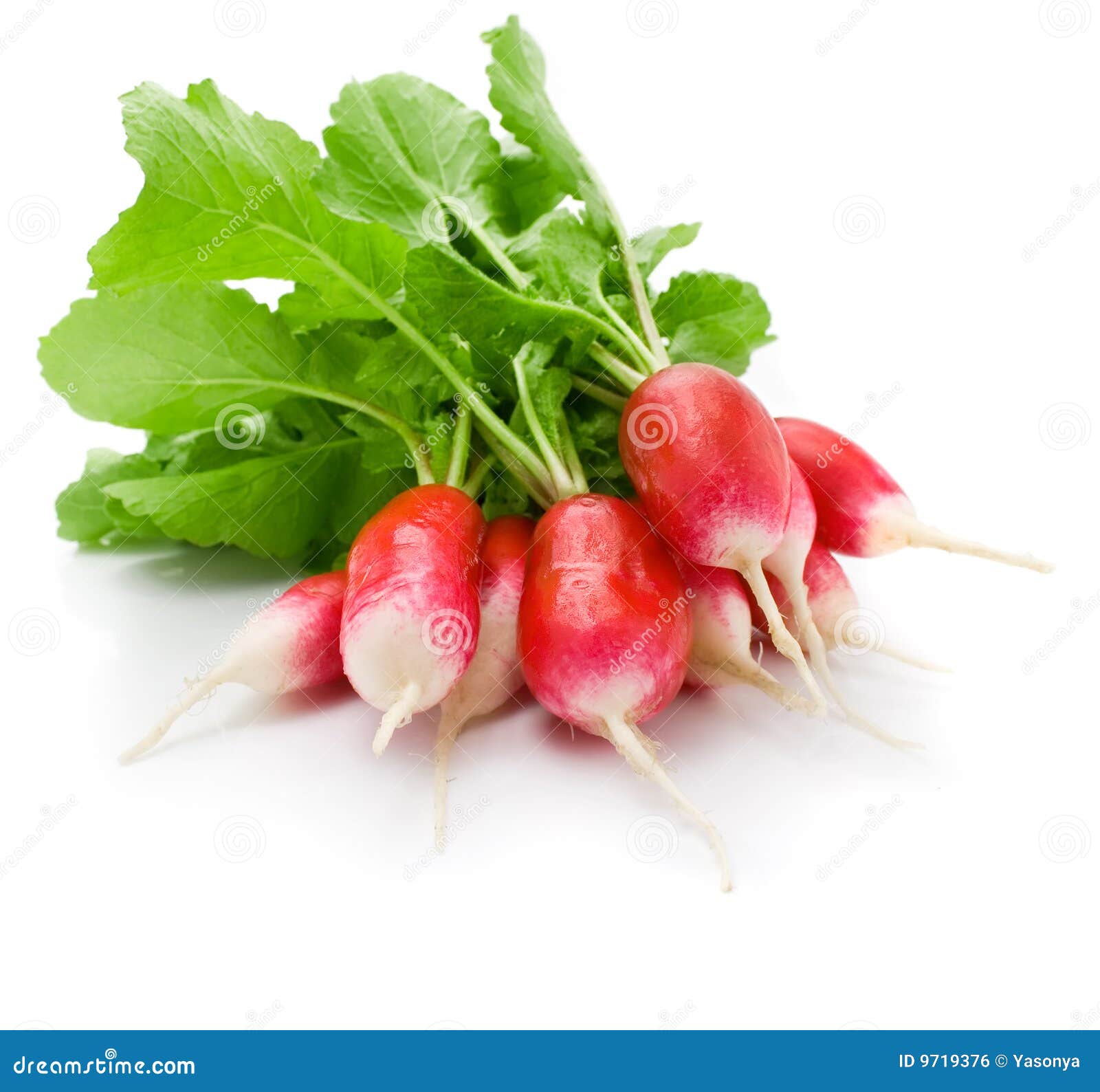 Fresh Red Radish Vegetables with Green Leaves Stock Photo - Image of ...