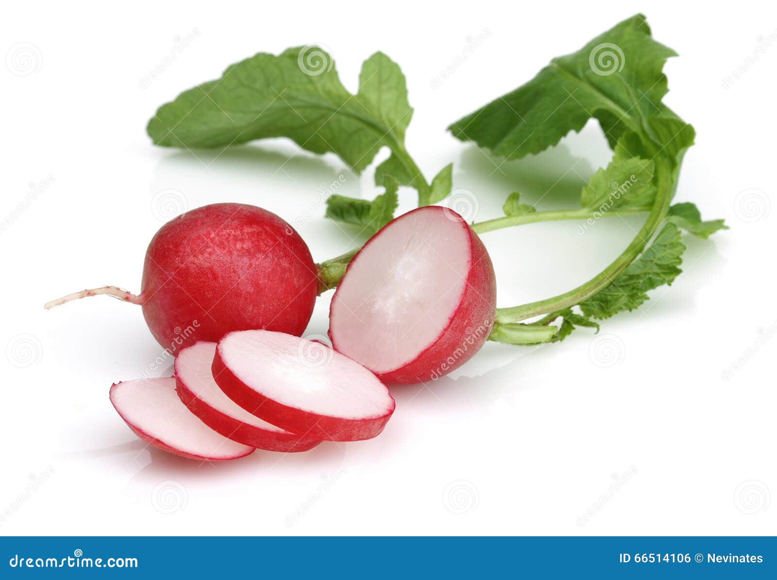 Fresh red radish stock photo. Image of condiment, garden - 66514106
