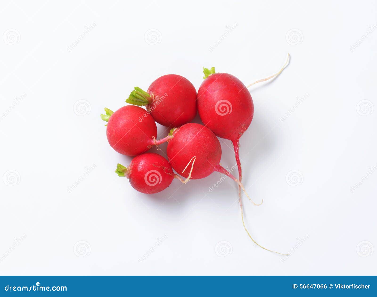 Fresh red radishes stock photo. Image of radishes, radish - 56647066