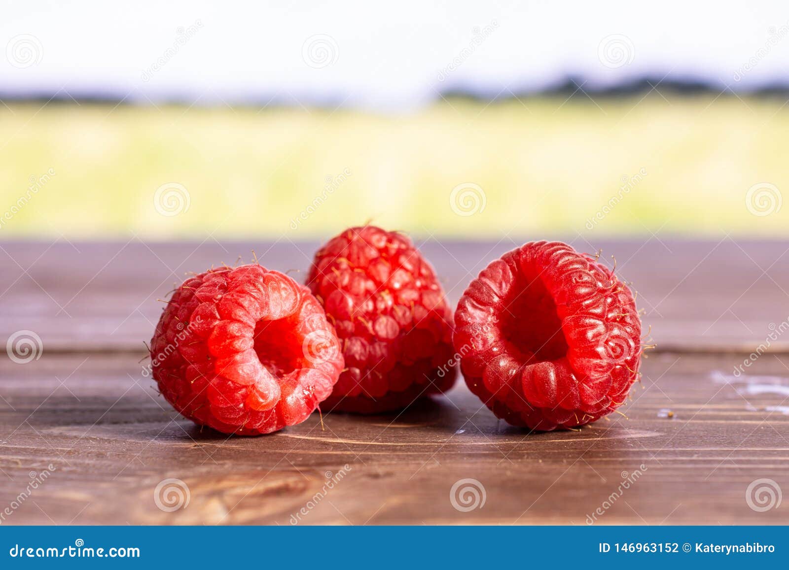 Fresh Red Raspberry with Field Behind Stock Photo - Image of fresh ...