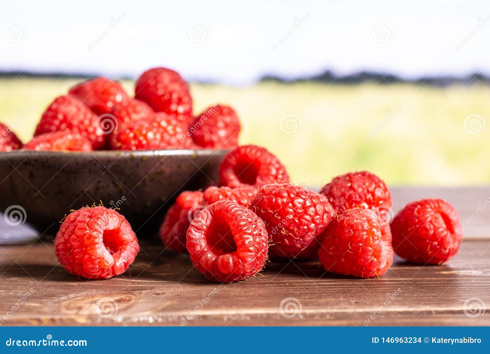 Fresh Red Raspberry with Field Behind Stock Photo - Image of rasp ...