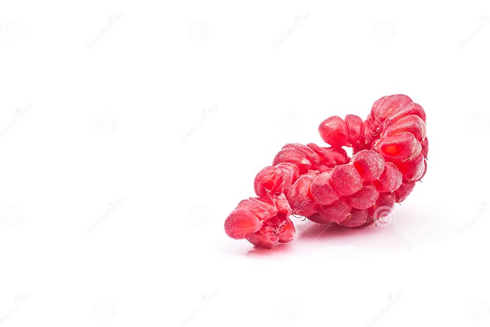 Fresh Red Raspberry Isolated Stock Image - Image of natural, diet ...
