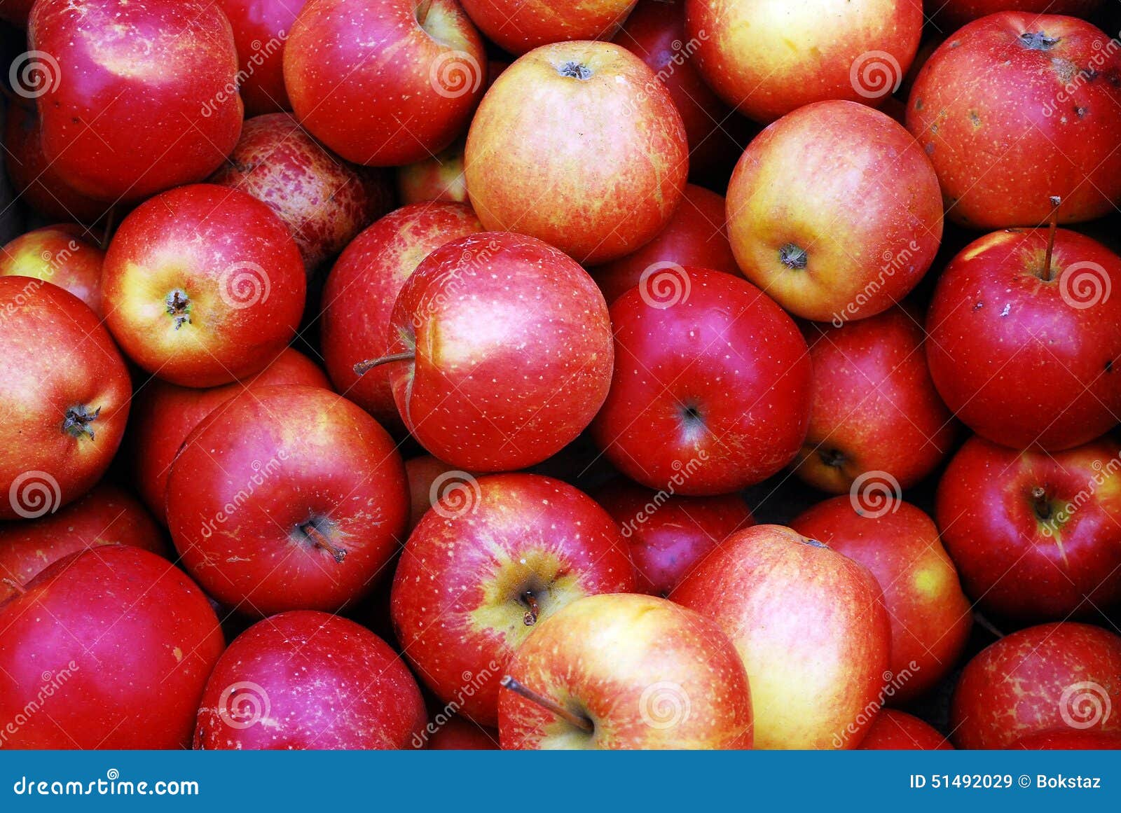 Fresh Red Ripe Apples Background Stock Image - Image of dieting, autumn ...