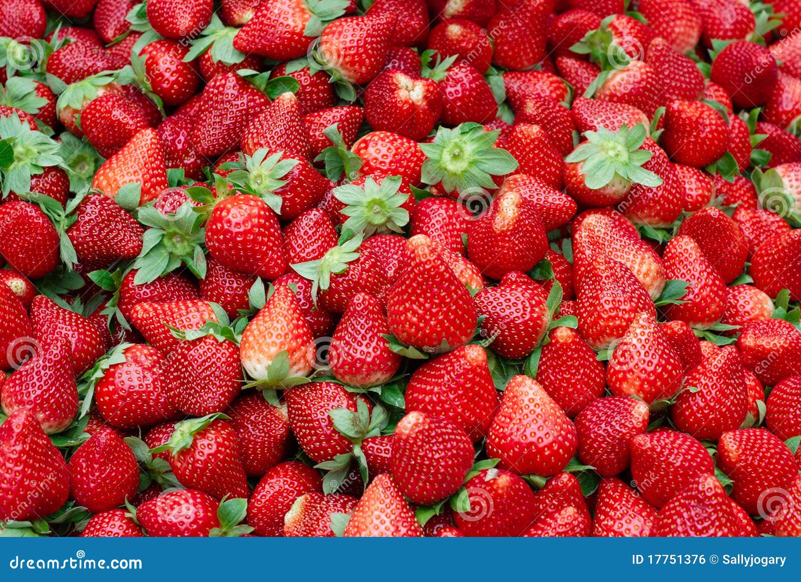 Fresh Red Ripe Strawberries Stock Photo - Image of pile, strawberry ...