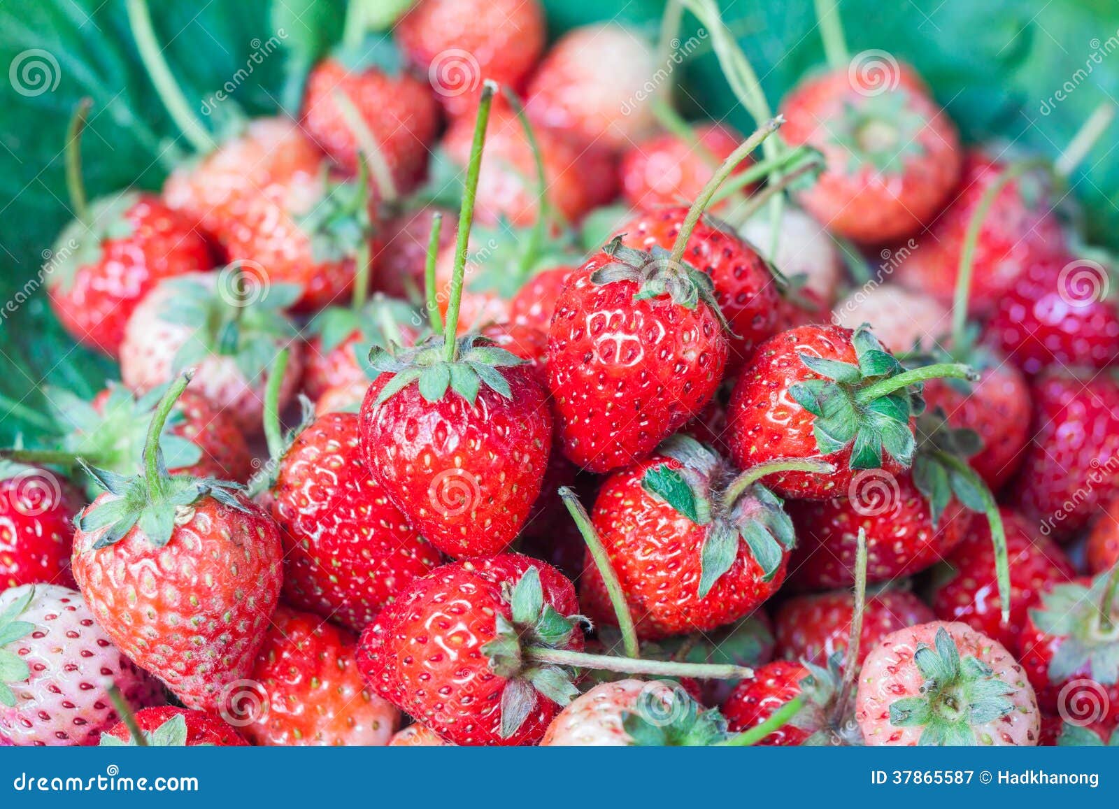 Fresh Red Ripe Strawberries Stock Image - Image of dessert, natural ...