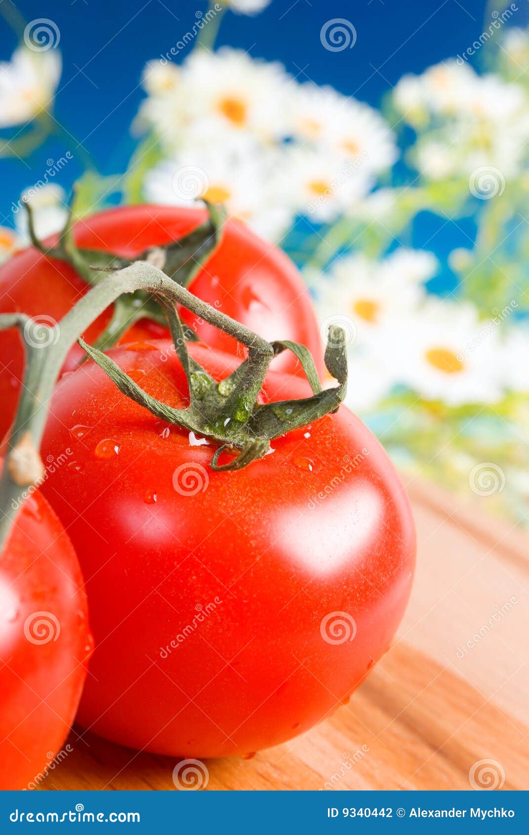 Fresh Red, Ripe Tomatoes. stock photo. Image of nourishing - 9340442