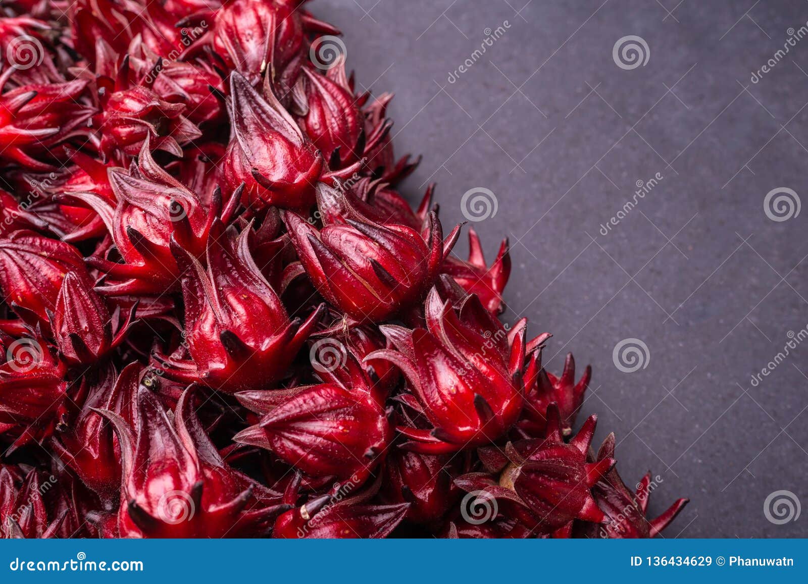 Fresh Red Roselle Use for Herb or Food Concept Stock Image - Image of ...