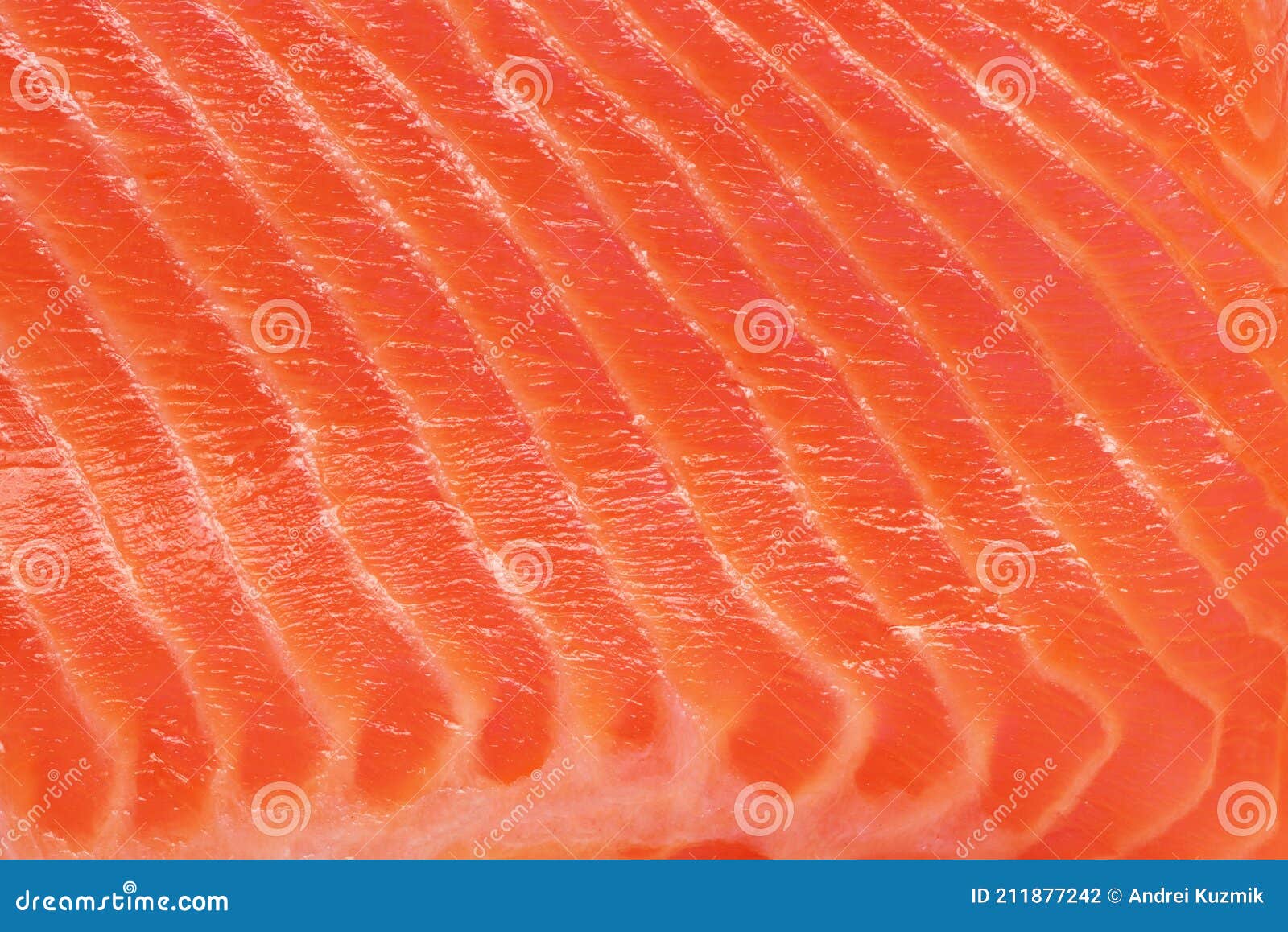 Fresh Red Salmon Fillet Slice Texture or Background Stock Photo - Image ...