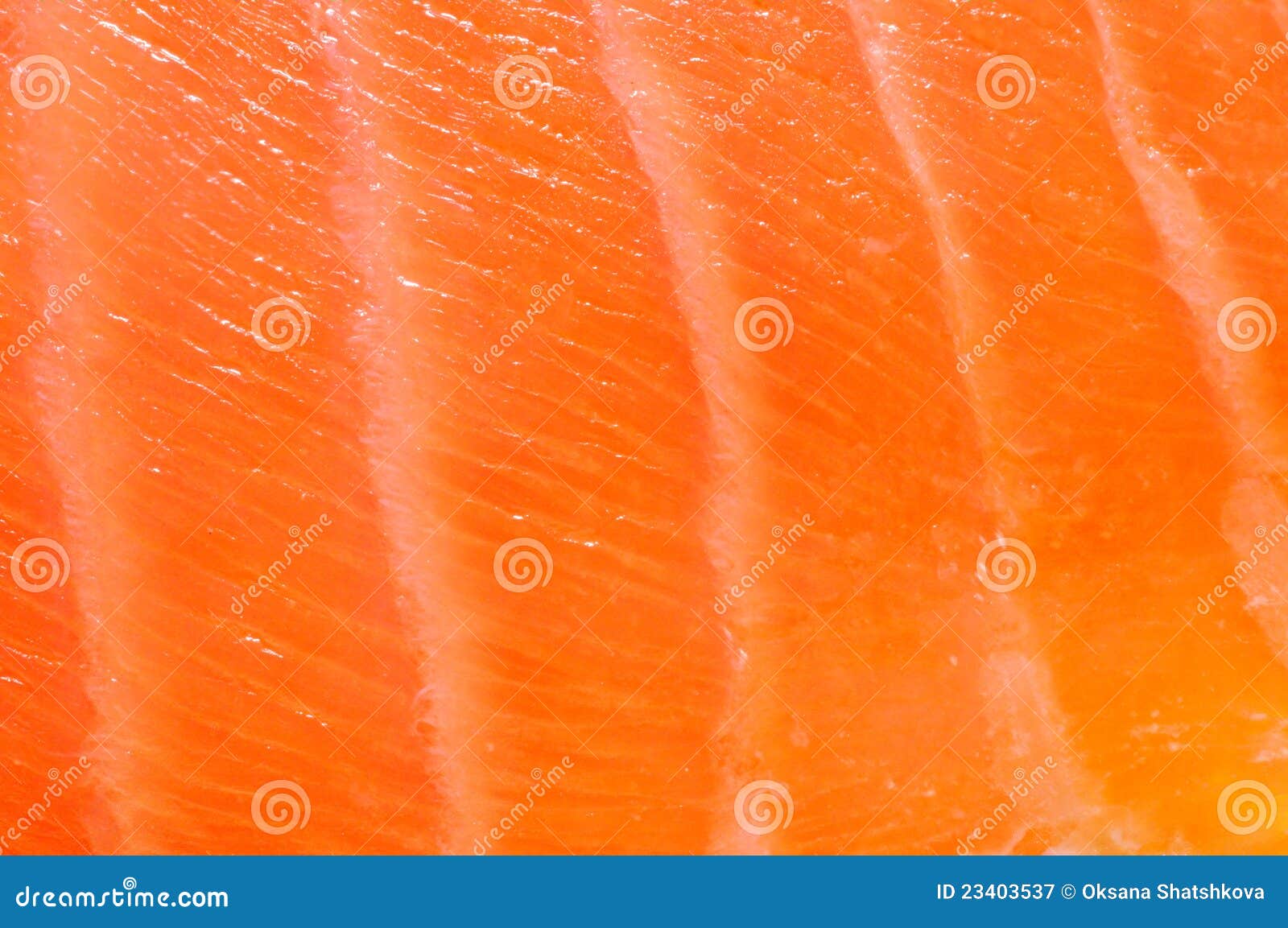 Fresh red salmon texture stock image. Image of meal, salmon - 23403537