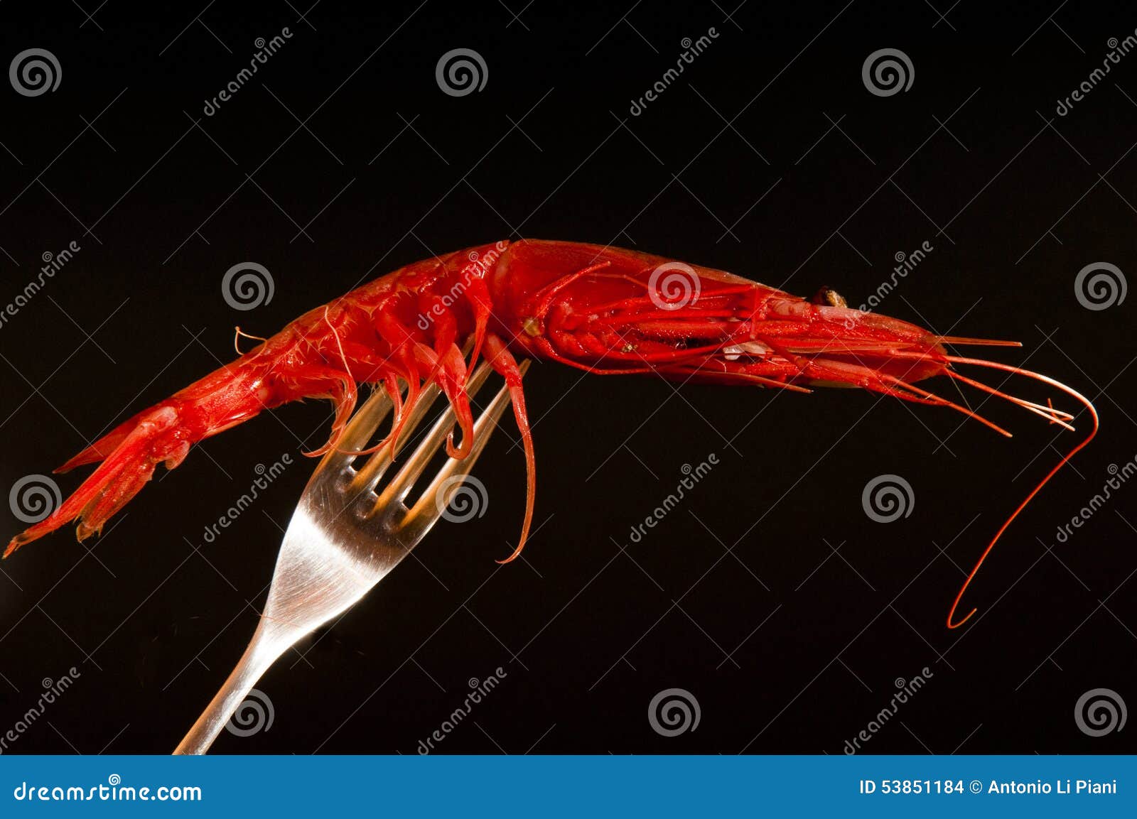 Fresh red shrimp stock photo. Image of black, metal, fish - 53851184