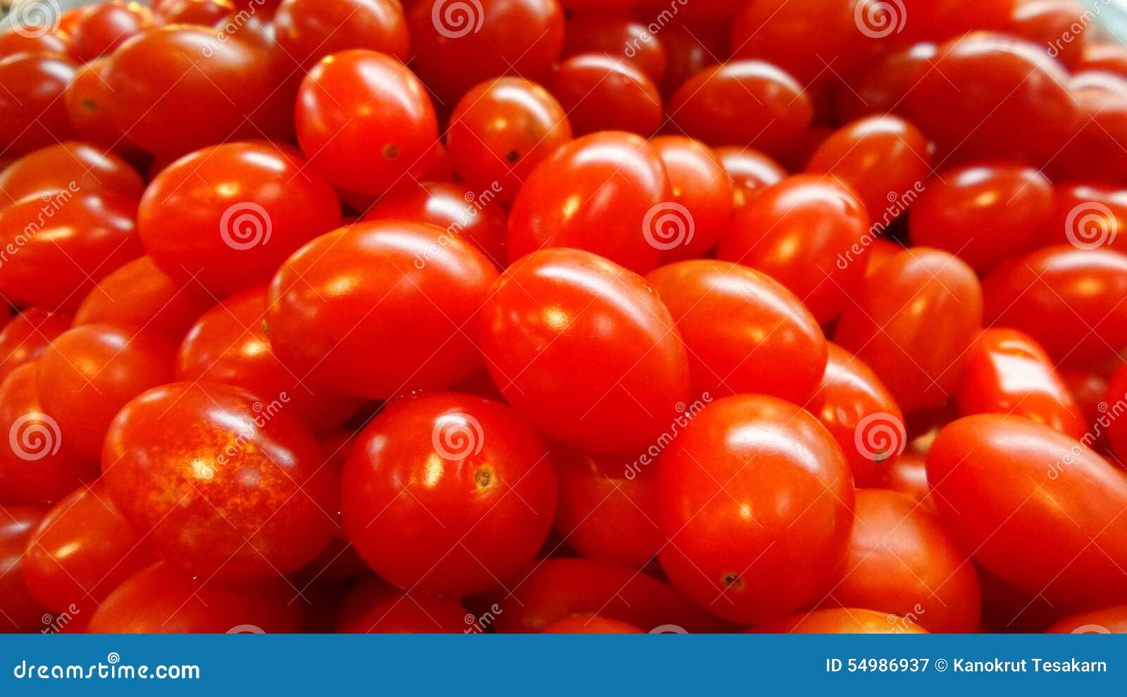 Fresh red small tomatos stock image. Image of menu, tomatos - 54986937