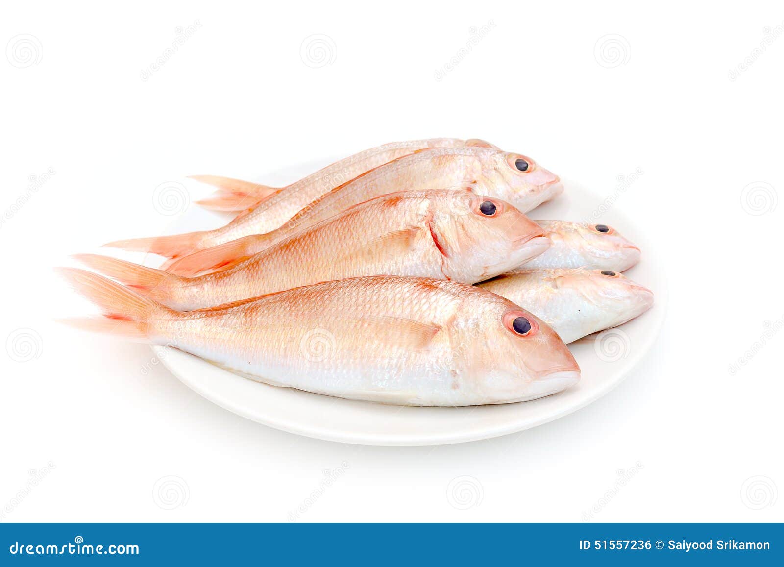 Fresh red snapper stock photo. Image of healthy, dead - 51557236