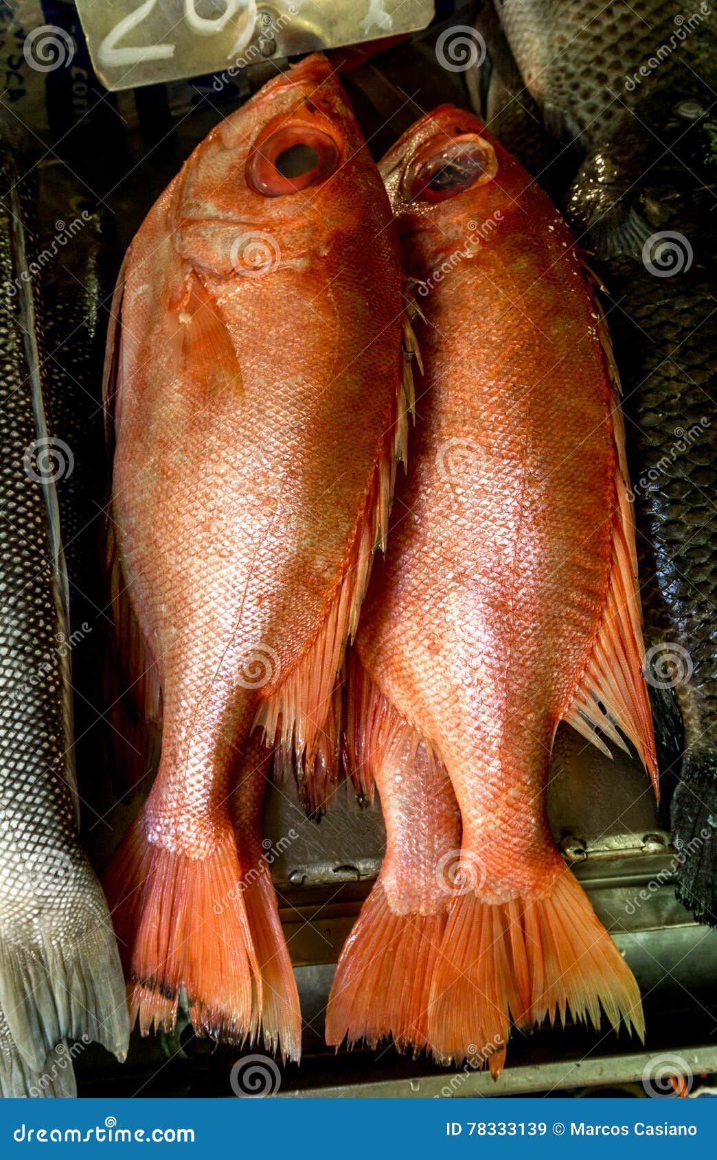 Fresh Red Snapper at the Market Stock Image - Image of scales, catch ...