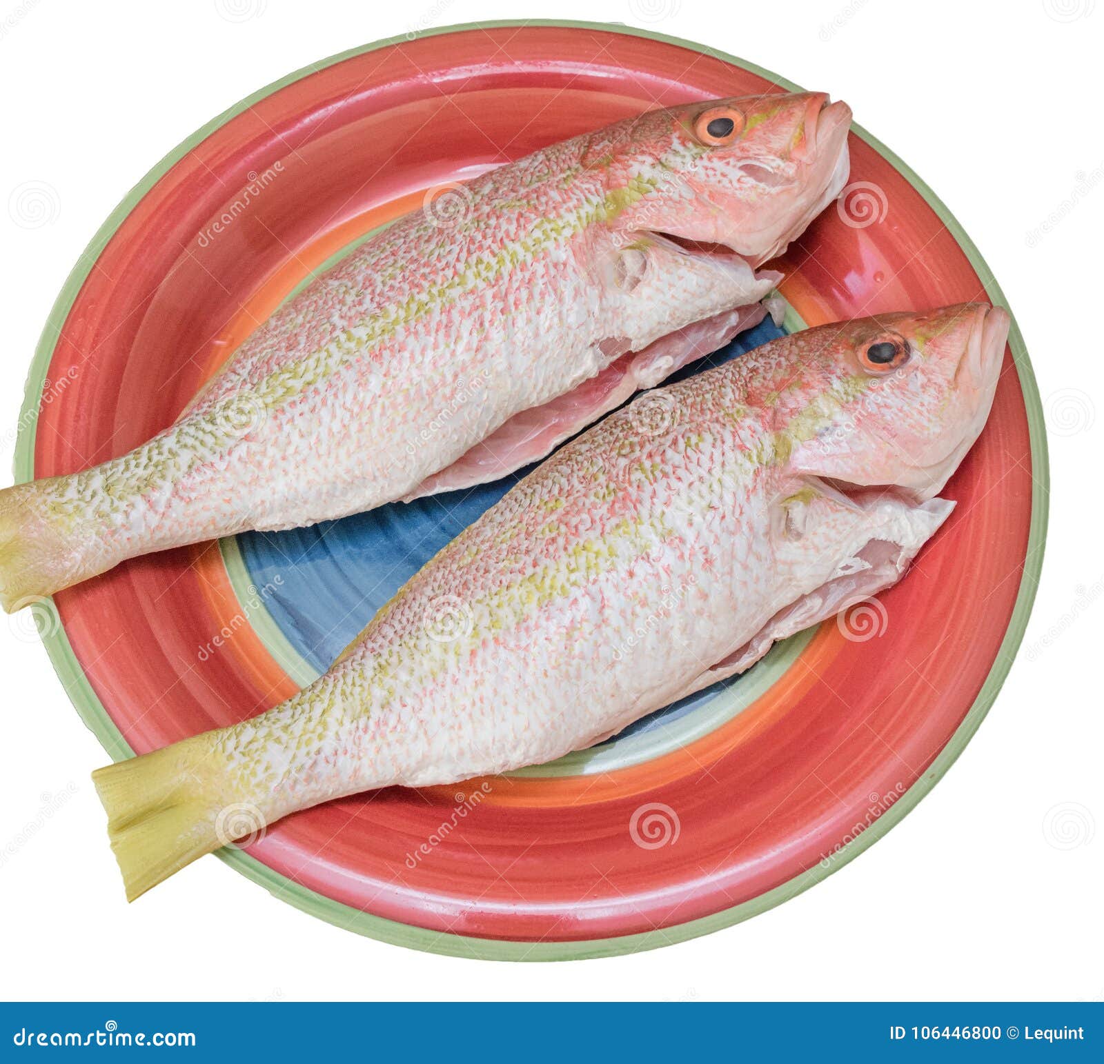 Fresh red snapper on plate stock photo. Image of head - 106446800