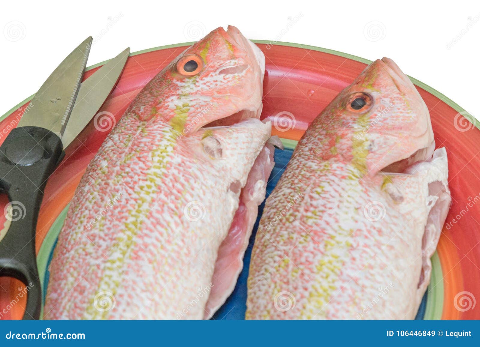 Fresh red snapper on plate stock image. Image of food - 106446849