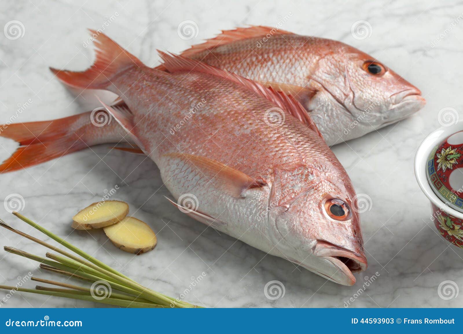 Fresh red snappers stock image. Image of snapper, fish - 44593903