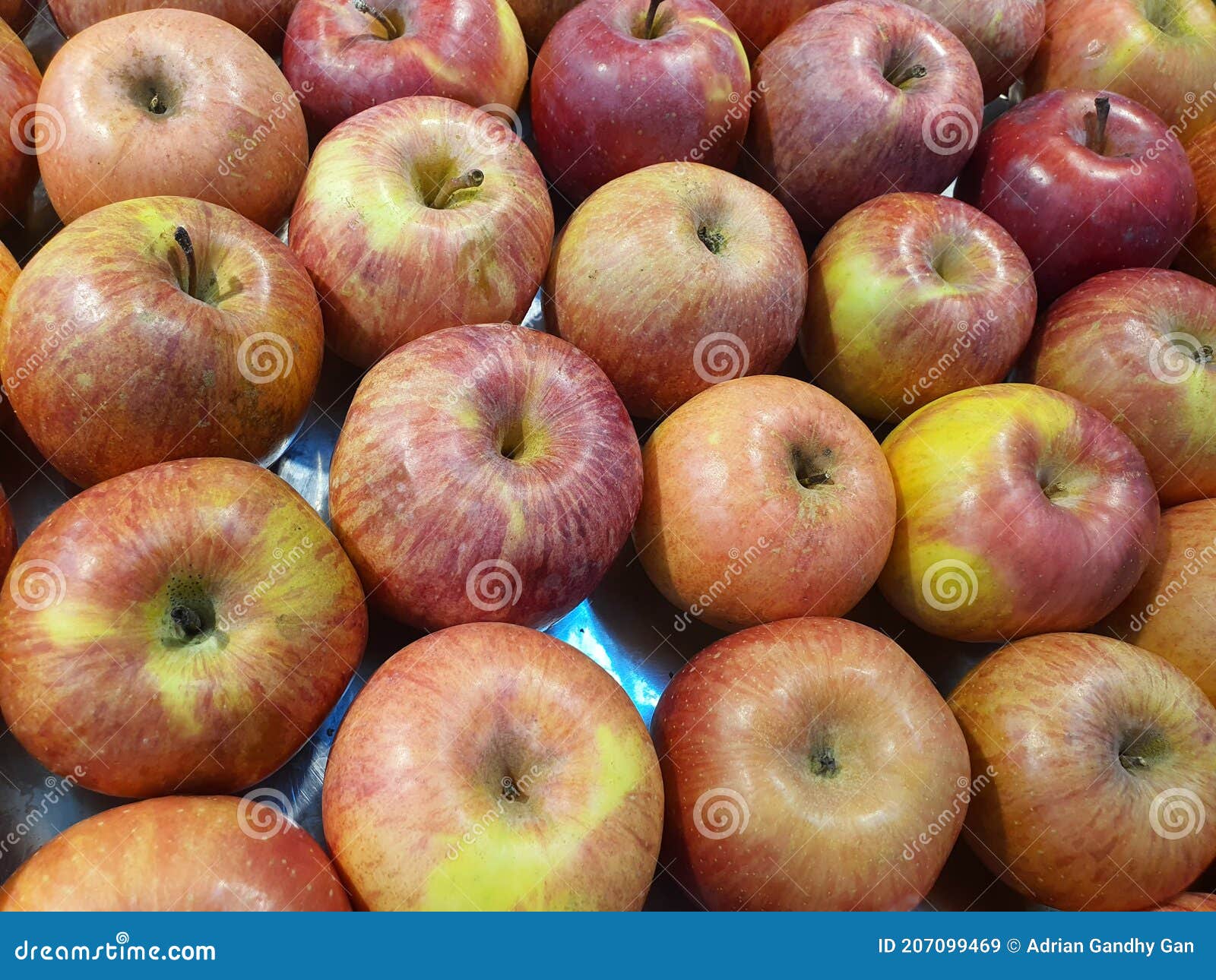 Fresh red sour apple stock image. Image of circle, apple - 207099469