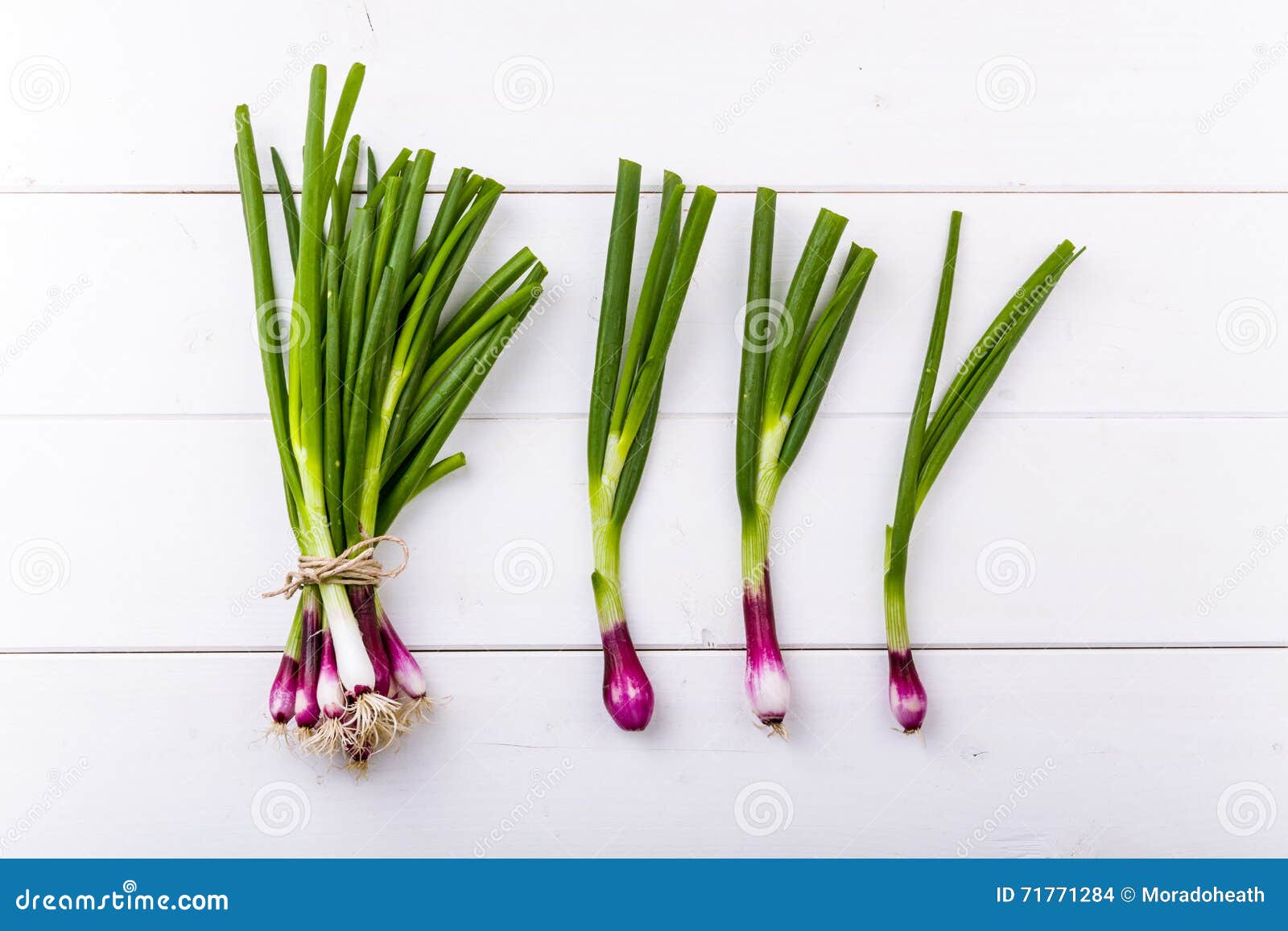 Fresh Red Spring Onions Scallions Stock Photo - Image of onions ...