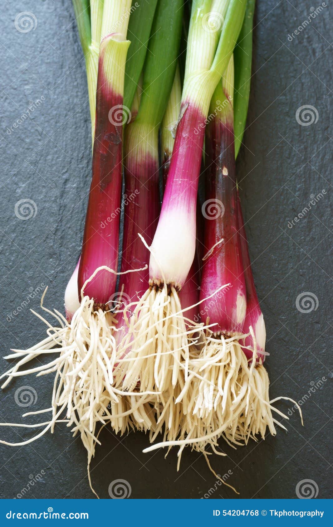 Fresh red Spring Onions stock photo. Image of black, platter - 54204768