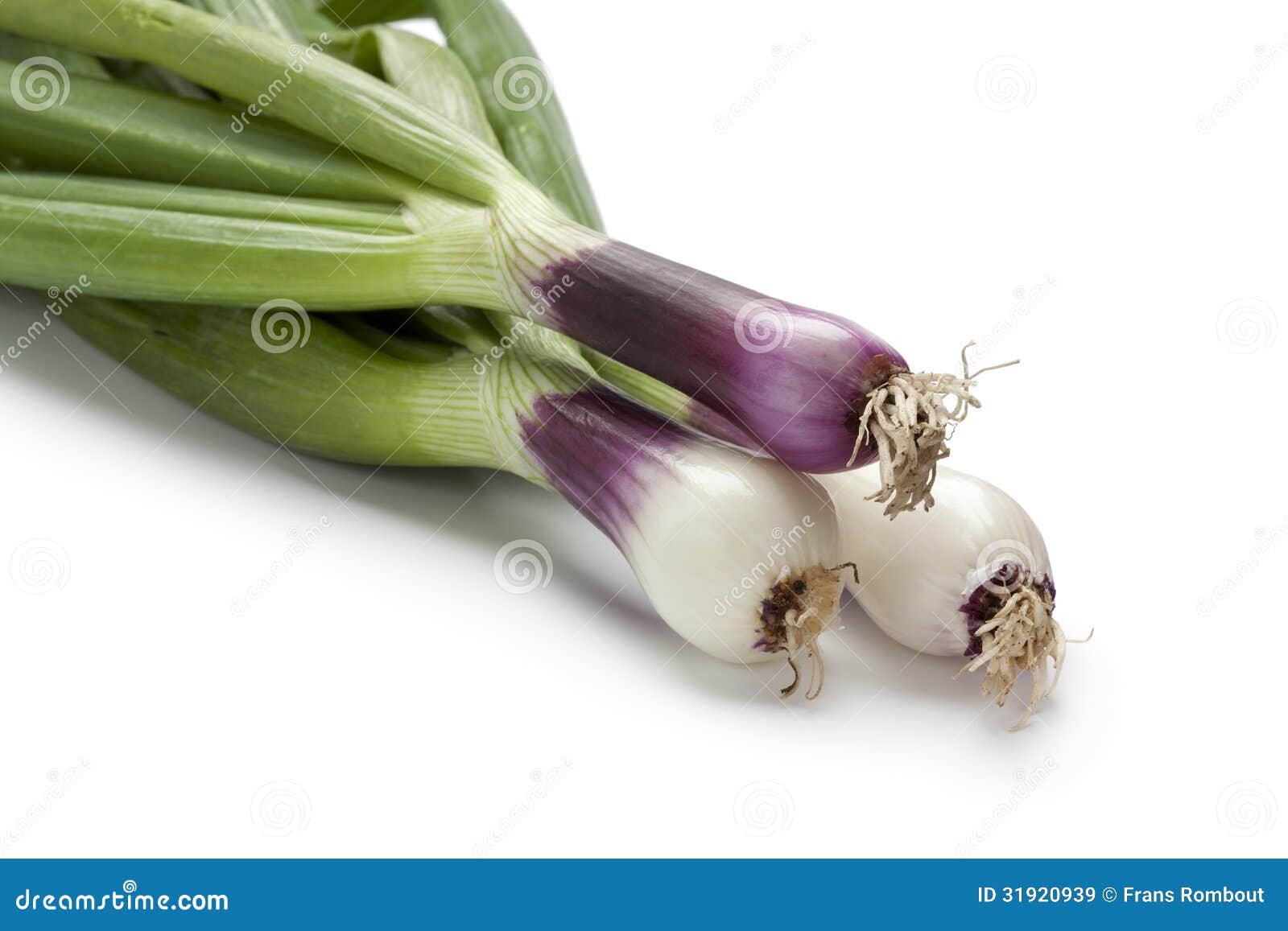 Fresh red spring onions stock image. Image of ingredient - 31920939