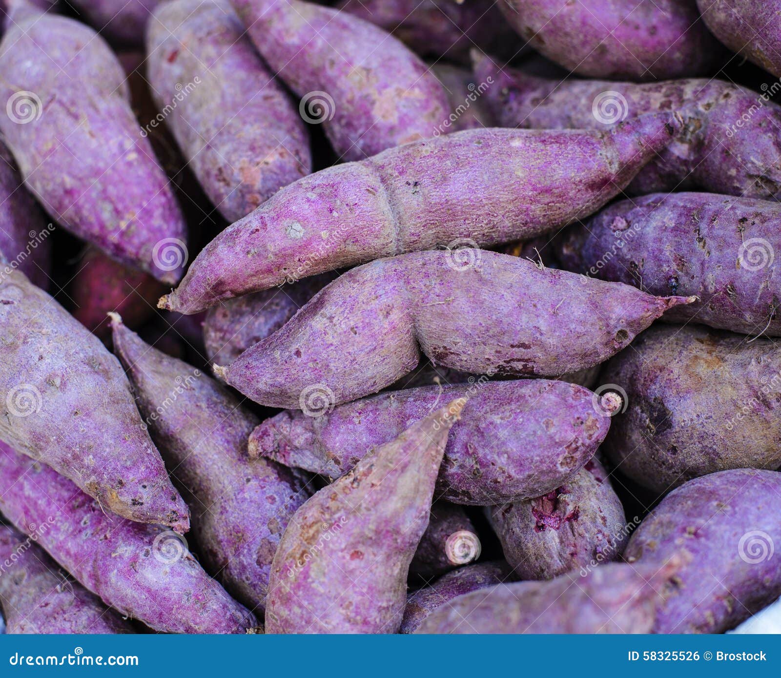 Fresh red sweet potatoes stock photo. Image of organic - 58325526