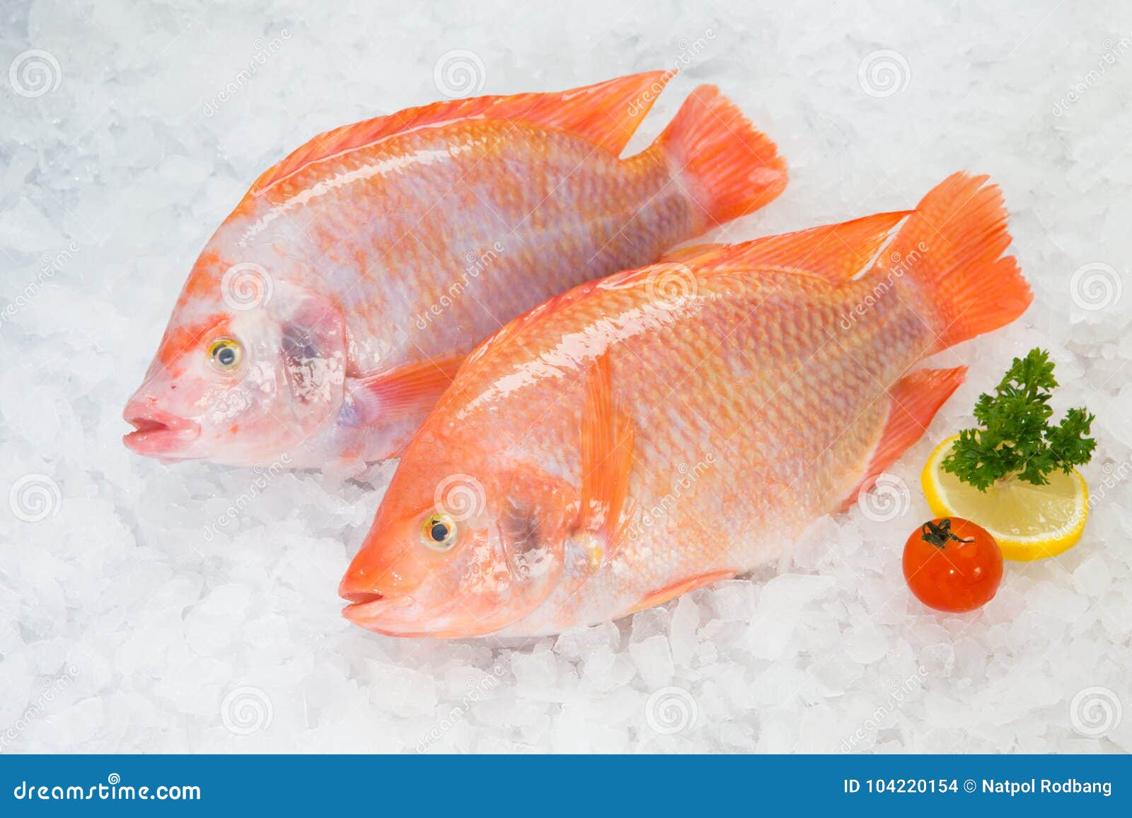 Fresh Red Tilapia on Crushed Ice Stock Photo - Image of selection ...