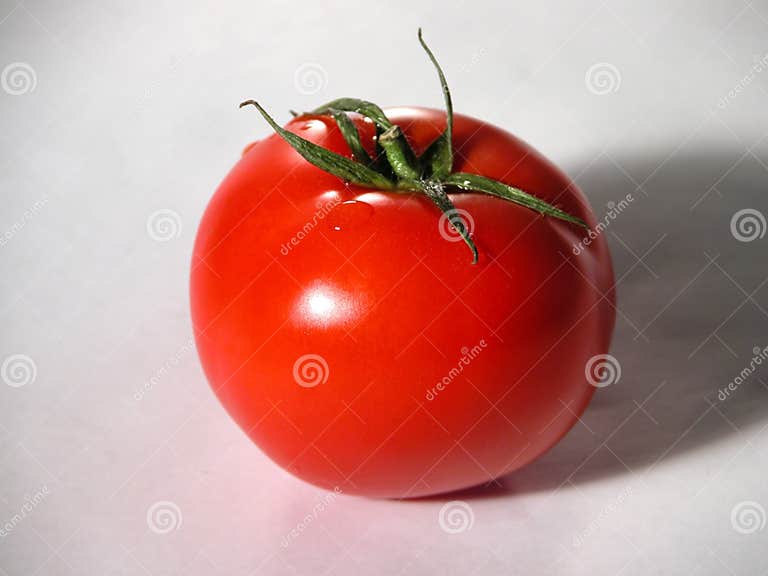 Fresh red tomato stock photo. Image of juicy, restaurant - 2154