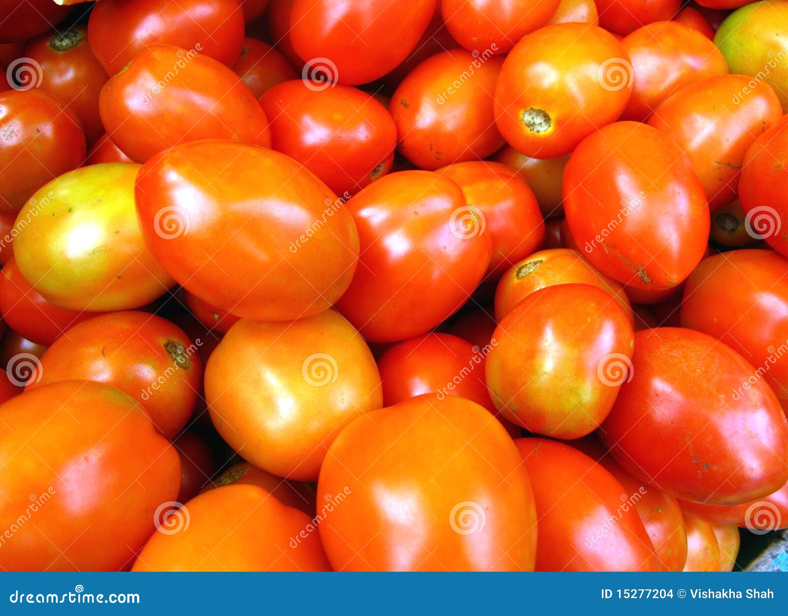 Fresh Red Tomato stock photo. Image of shiny, heap, vegetable - 15277204