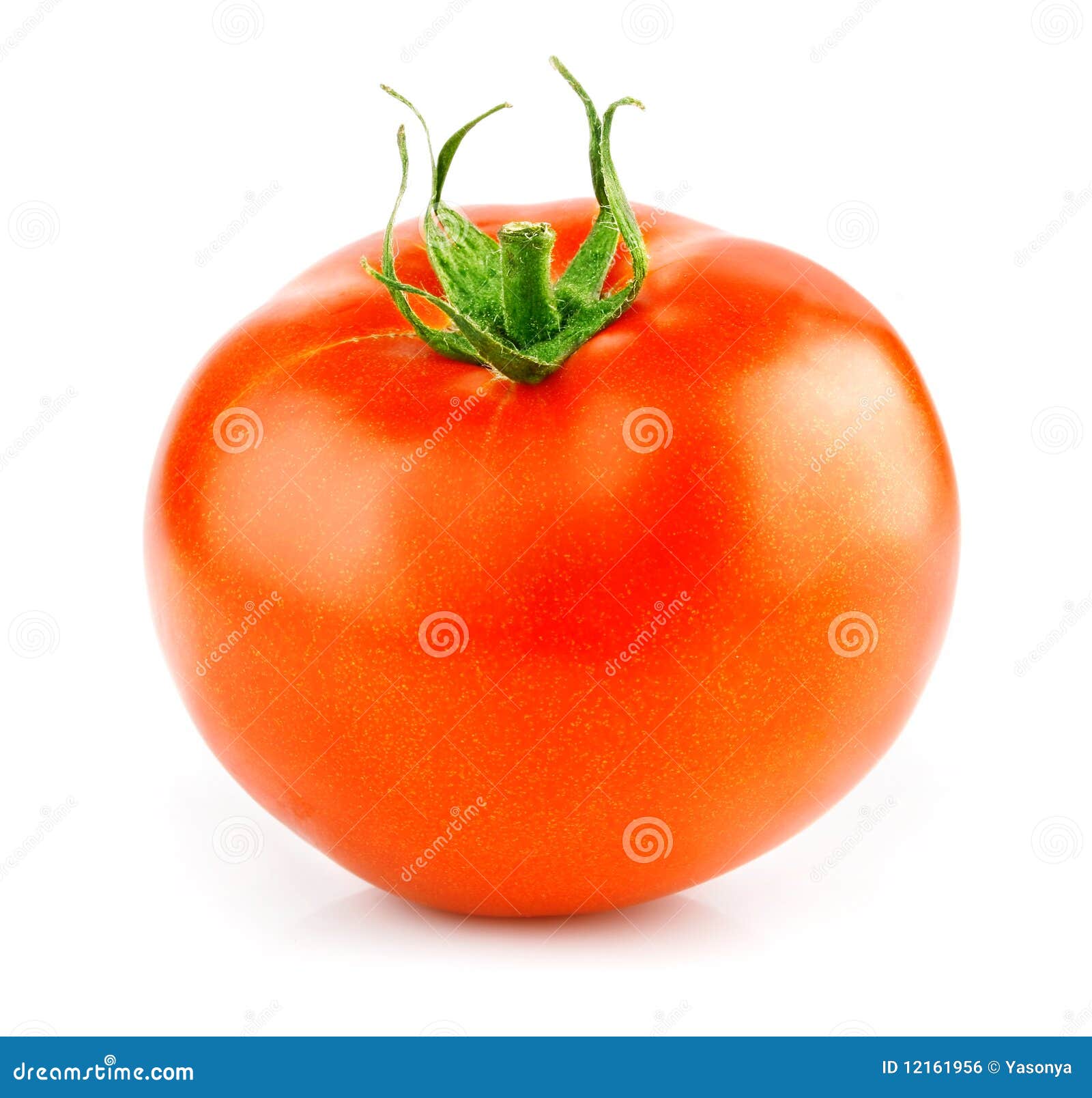 7,005 One Red Tomato Green Leaf Stock Photos - Free & Royalty-Free ...