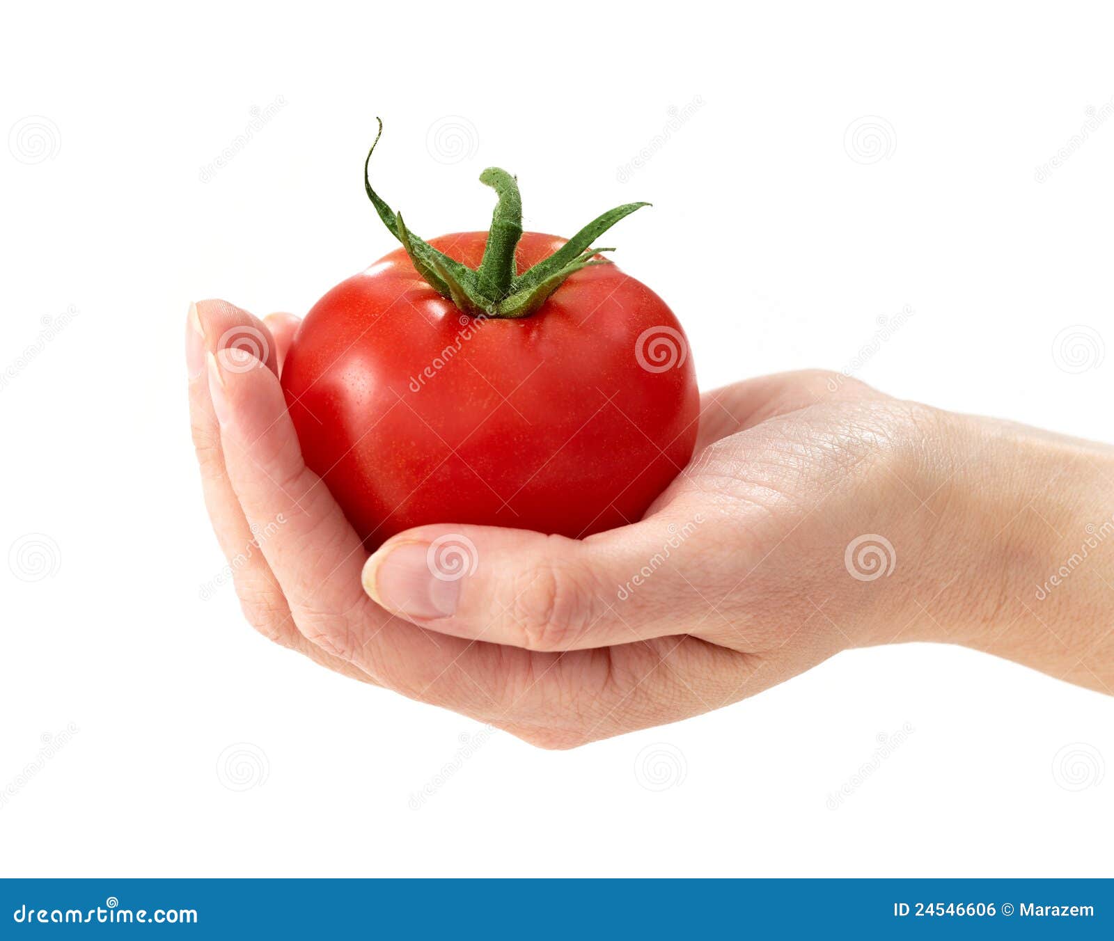 Fresh Red Tomato in the Human Hand Stock Photo - Image of diet, leaf ...