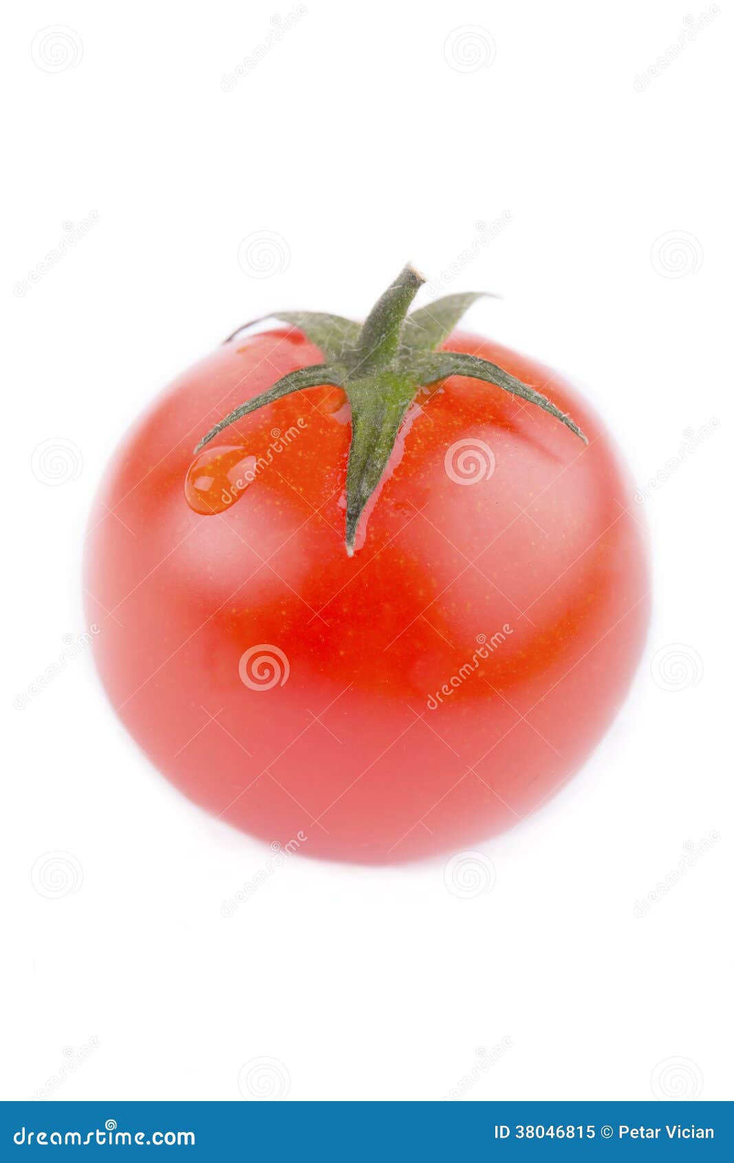 Fresh red tomato isolated stock image. Image of single - 38046815