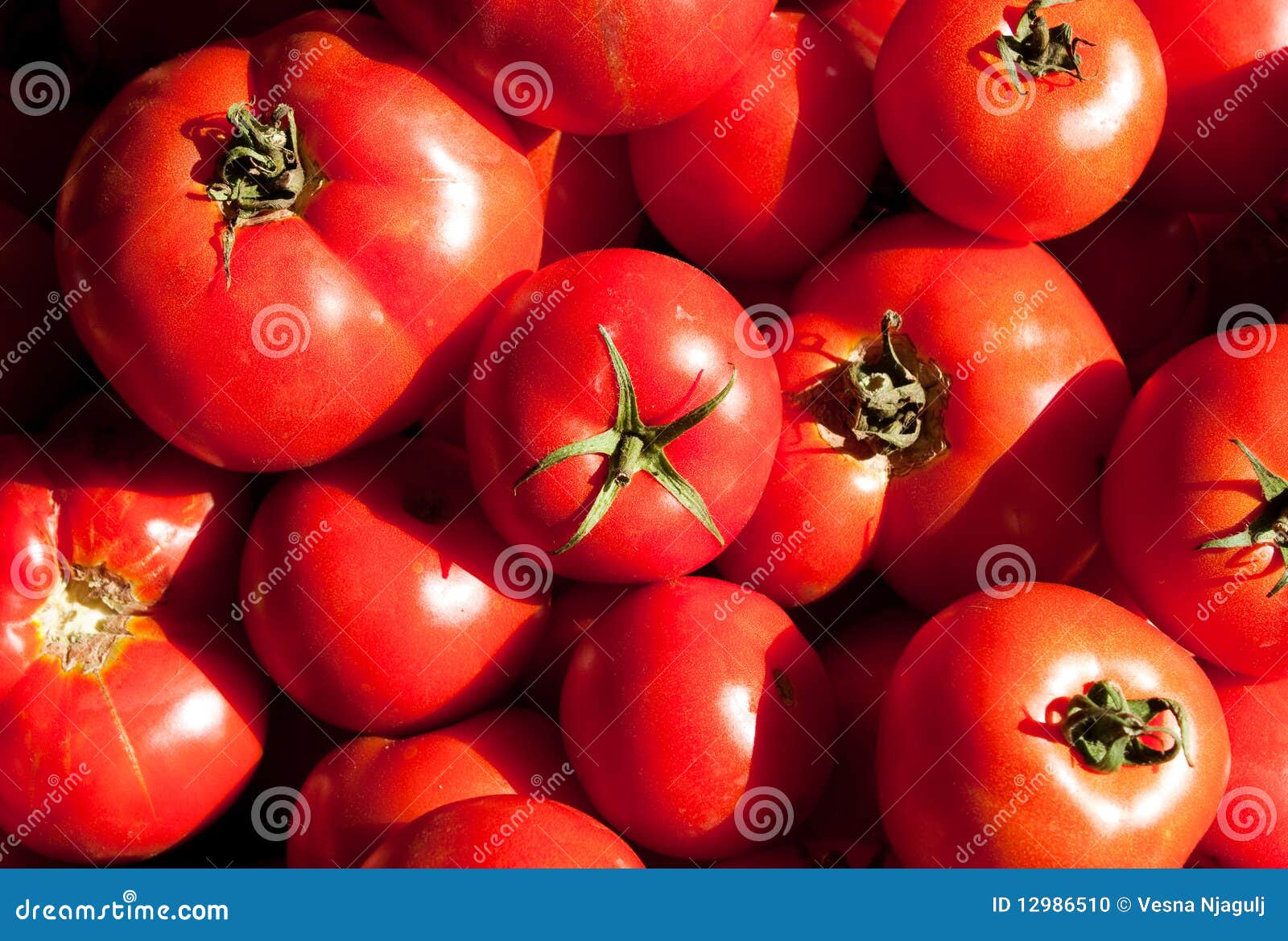 Fresh red tomatoes stock photo. Image of juice, green - 12986510