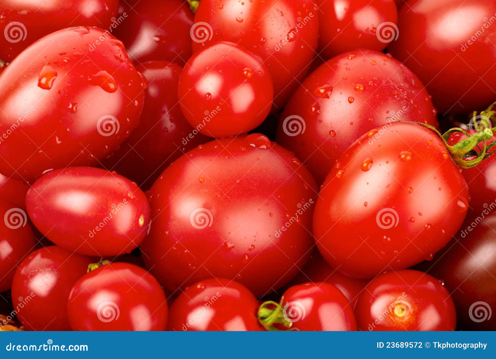 Fresh red tomatoes stock photo. Image of vegetarian, backgroun - 23689572
