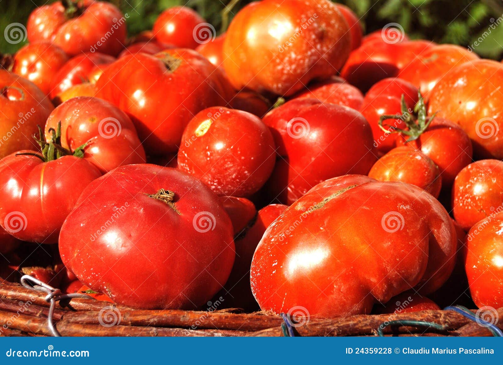 Fresh red tomatoes stock photo. Image of nutrition, agriculture - 24359228