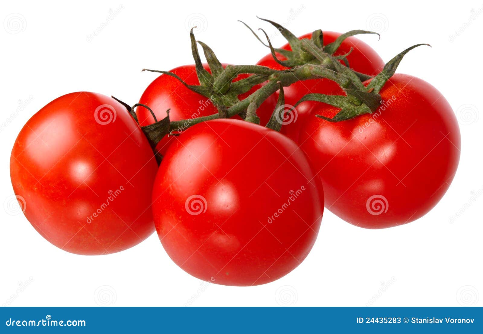 Fresh red tomatoes stock image. Image of isolated, fruits - 24435283