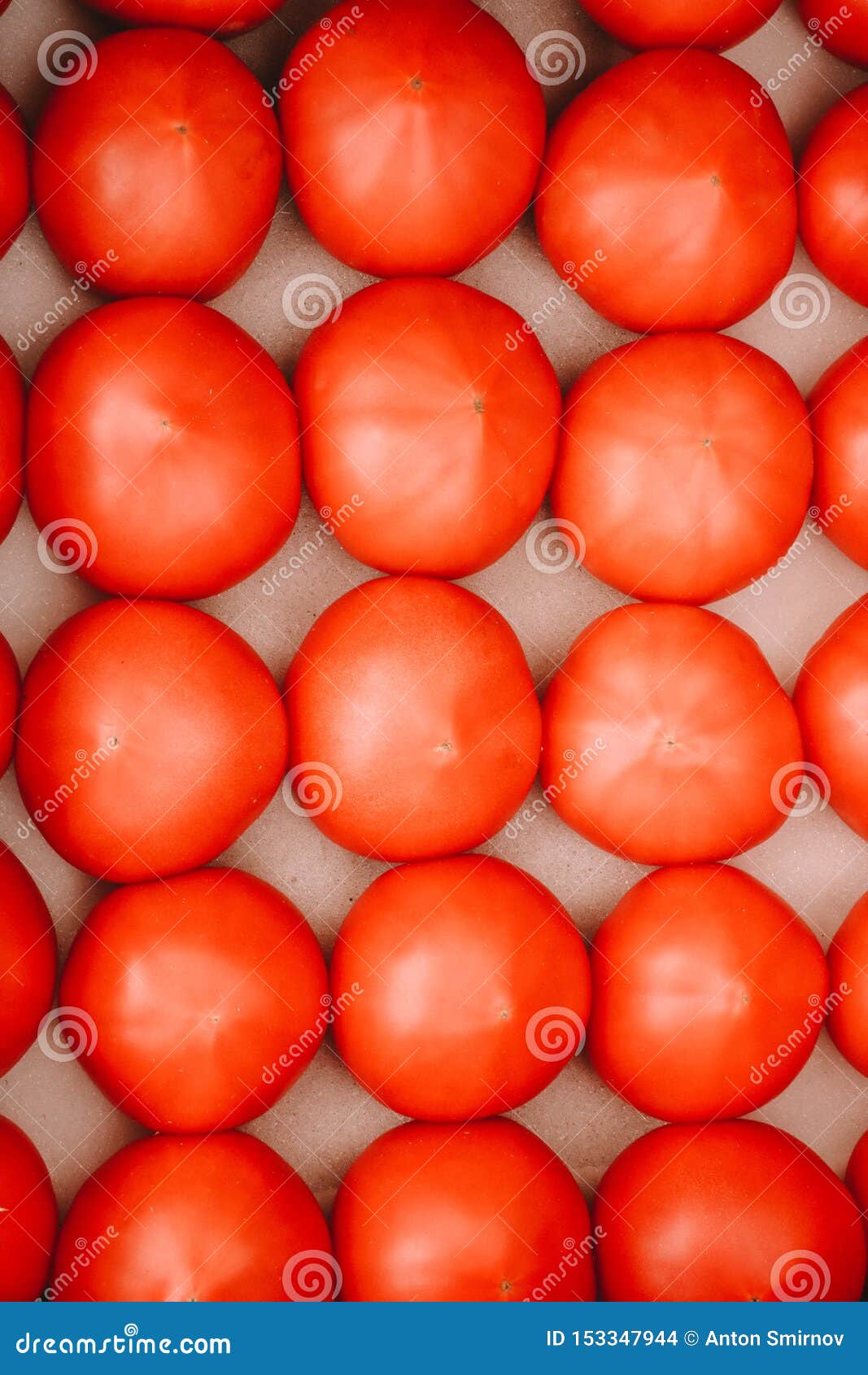 Fresh Red Tomatoes in the Box at the Local Market. Top View Stock Photo ...