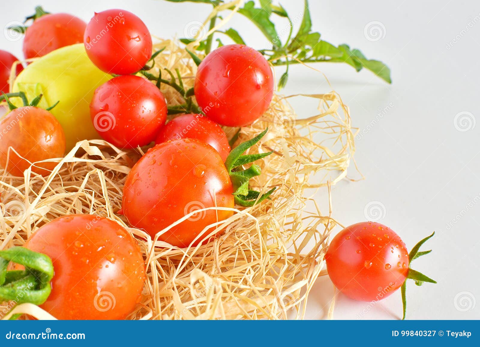 Fresh red tomatoes stock image. Image of plant, fresh - 99840327