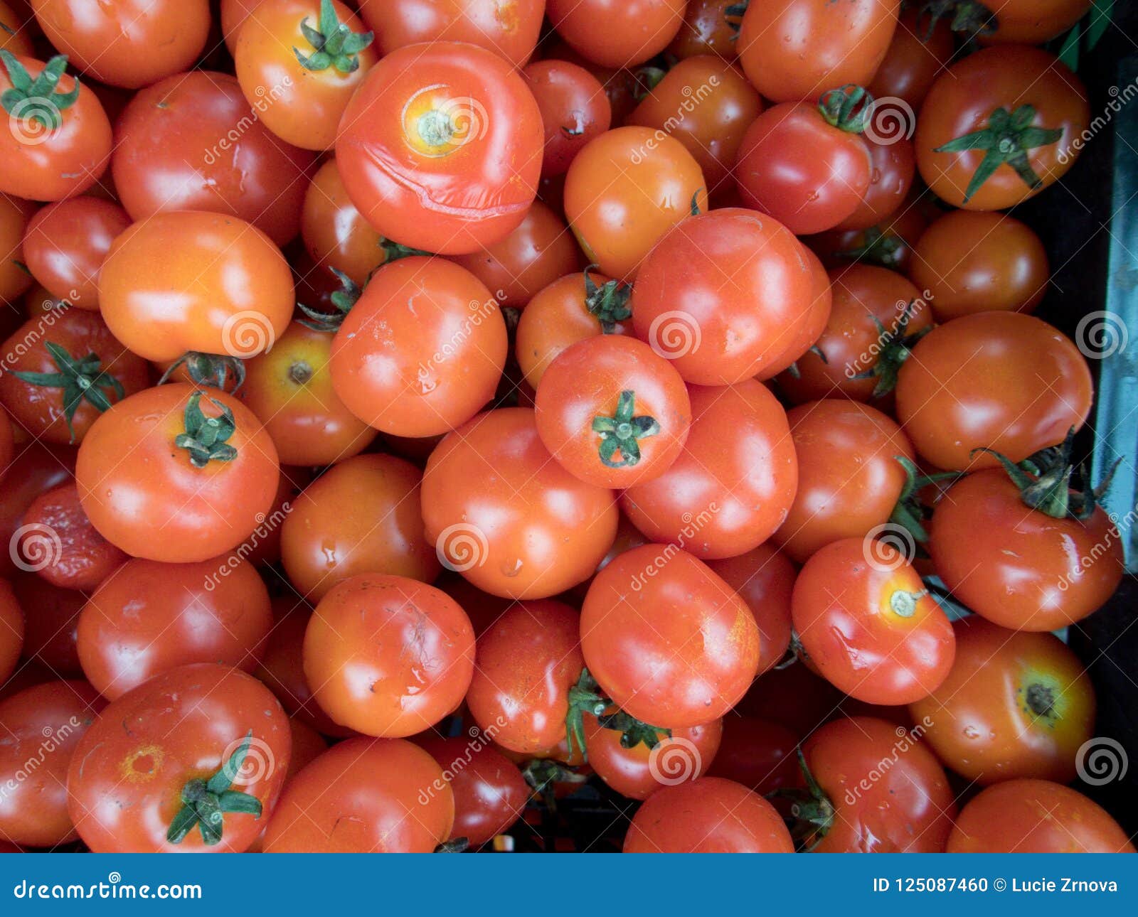 Fresh Red Tomatoes at a Market Stock Photo - Image of ingredient, ripe ...