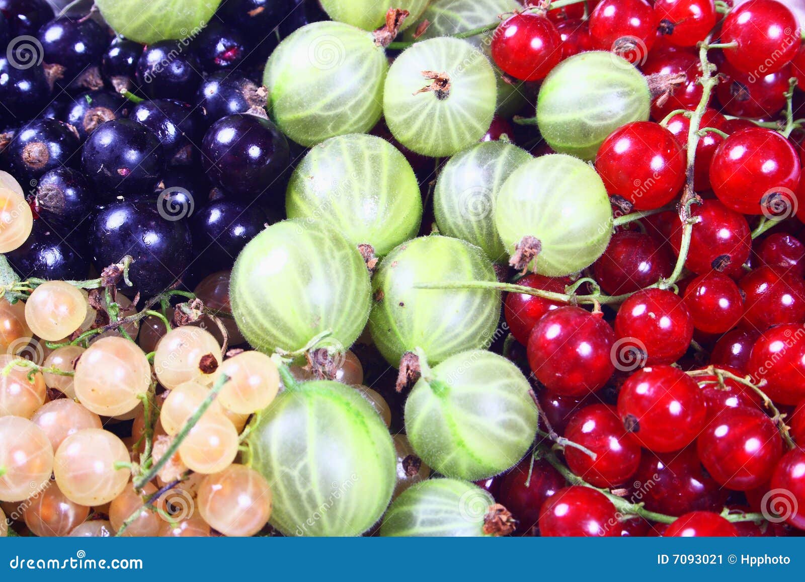 Fresh Red, White, Black Currants and Gooseberry Stock Image - Image of ...