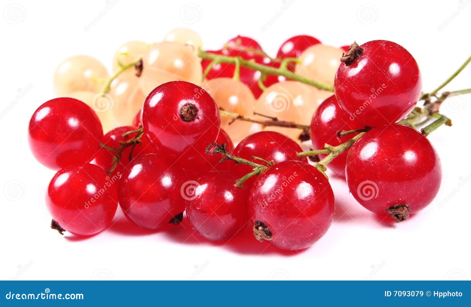 Fresh Red and White Currants Stock Image - Image of nutrition, mature ...