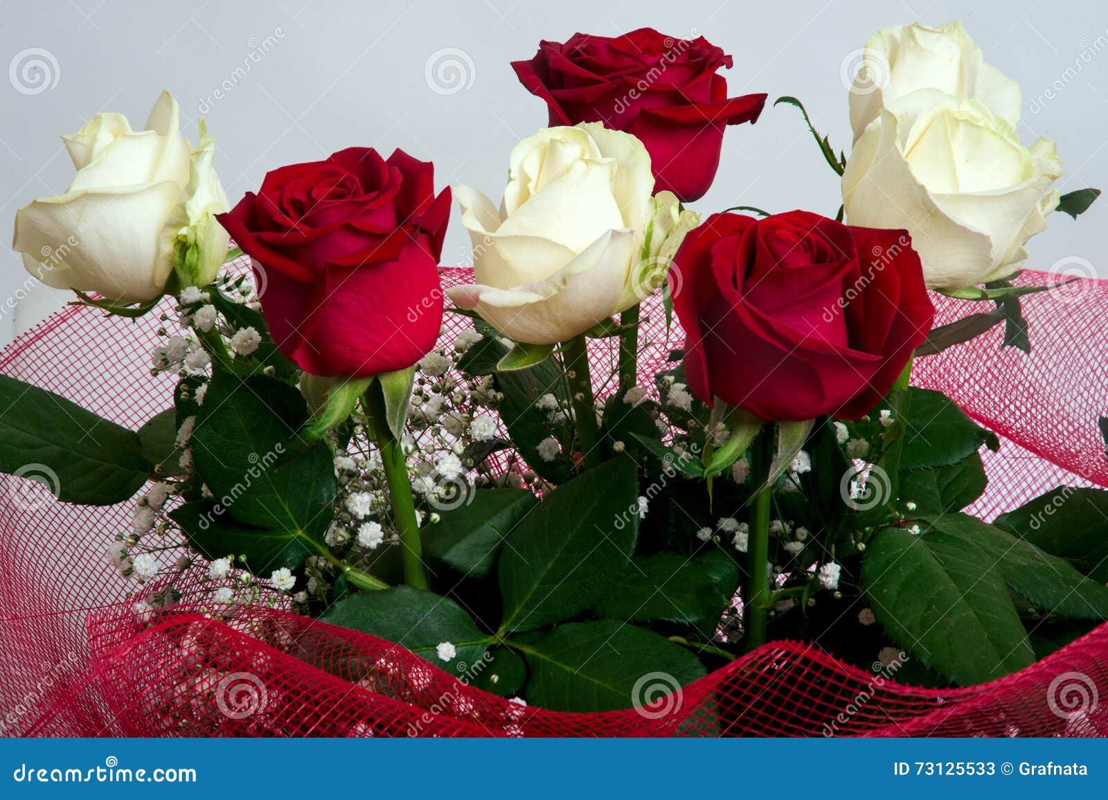 Fresh red and white roses stock image. Image of romantic - 73125533